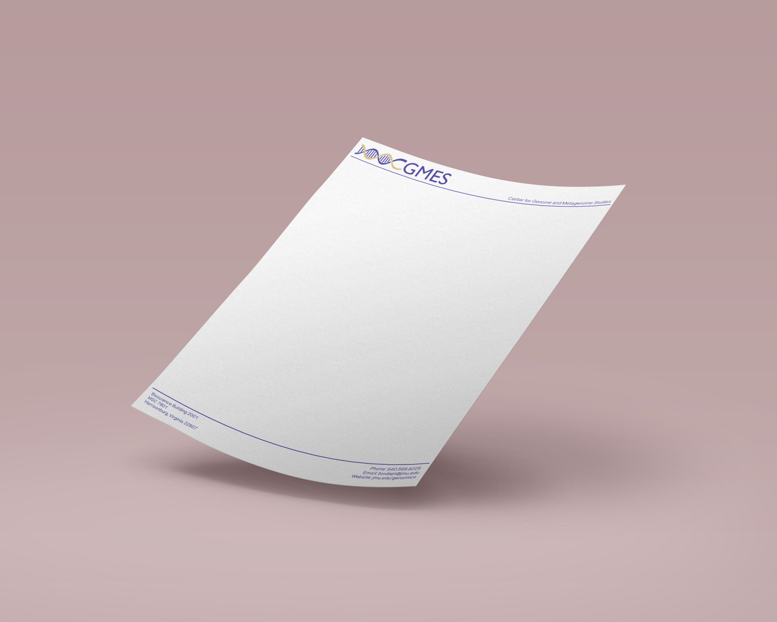 LOGO PROJECT « Alexandra Jackson Portfolio